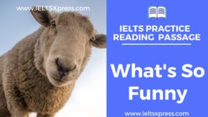 What's so funny? IELTS Reading Passage with Answers