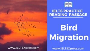 Bird Migration IELTS Reading Passage with Answers