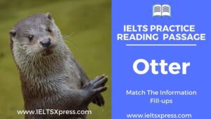 Otter IELTS Reading Passage with Answers